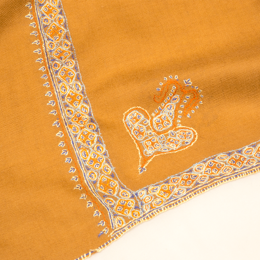 What is Pashmina Shawl? Meaning, Origin, & Special Characteristics ...
