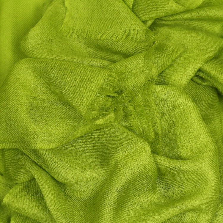 Why is Cashmere Wool so Expensive? [6 Reasons] - ANGELA JEY